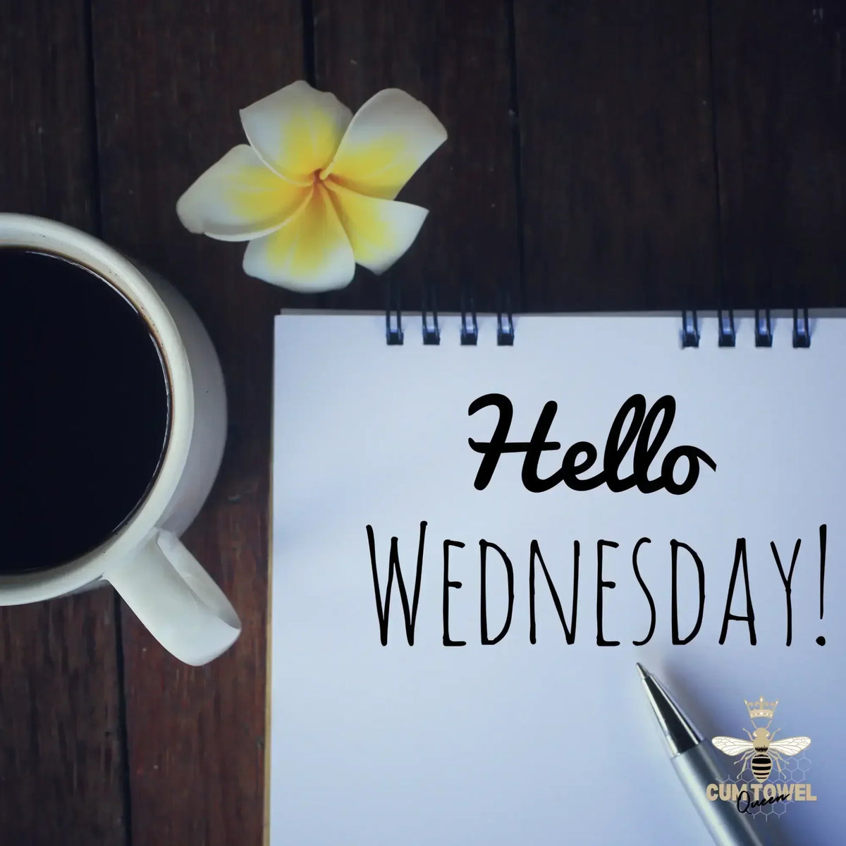 Happy Hump Day! Spice Up Your Midweek with Fun Flirty Games – NECTAR ...